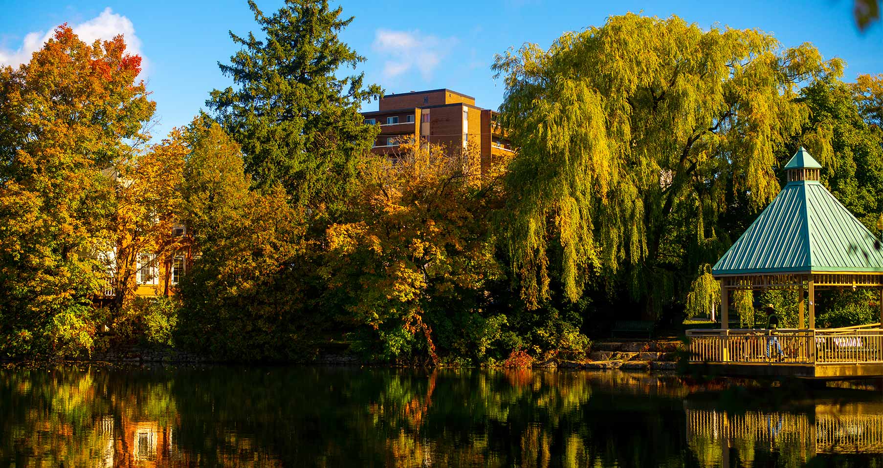 Downtown Milton Business Improvement Area - HOME