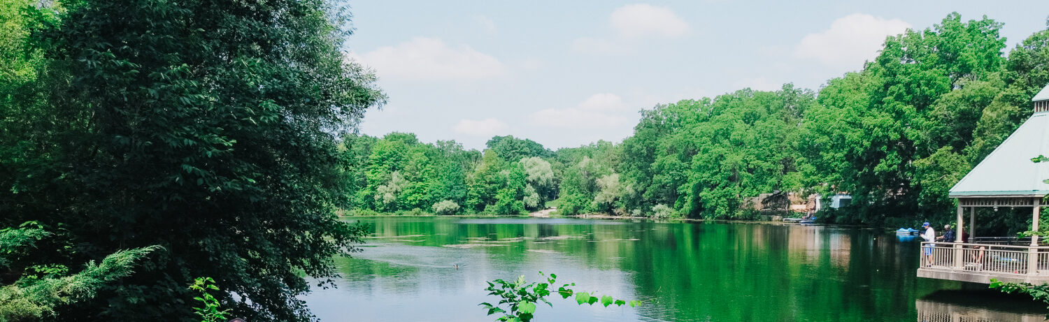 Downtown Milton Business Improvement Area - HOME