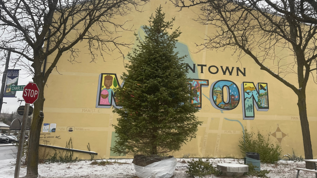 Tree Lighting - Downtown Milton Business Improvement Area
