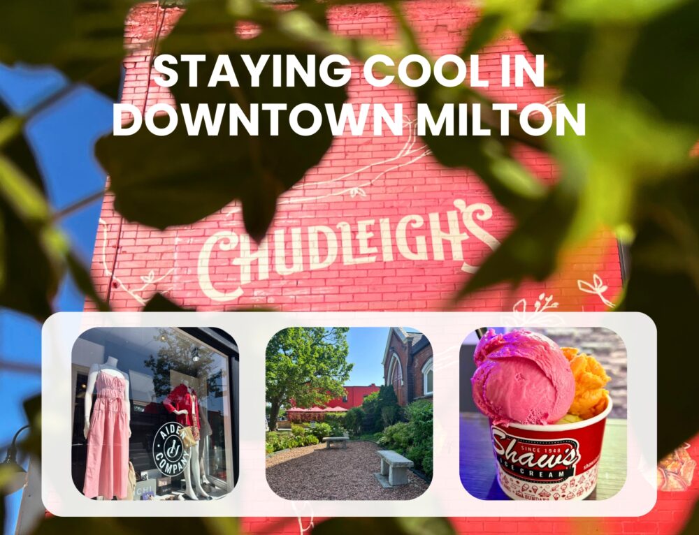 Rotary Park Pool Opens - Downtown Milton Business Improvement Area